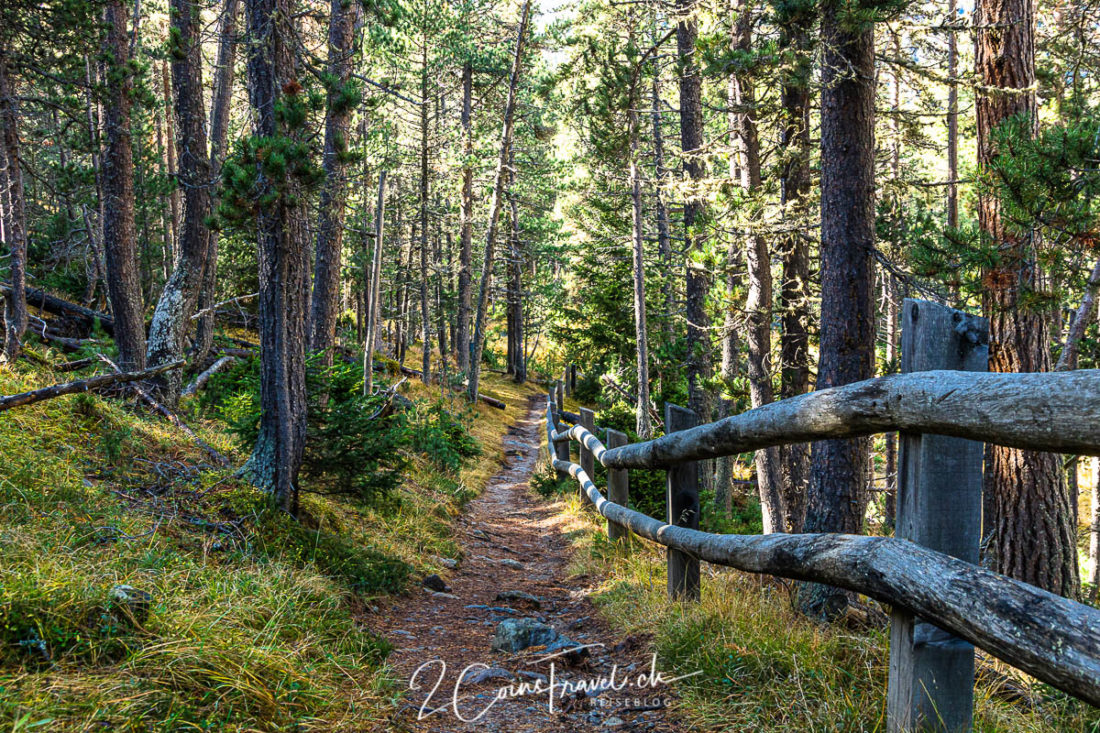 Wanderung auf den Munt la Schera im Schweizer Nationalpark Graubünden