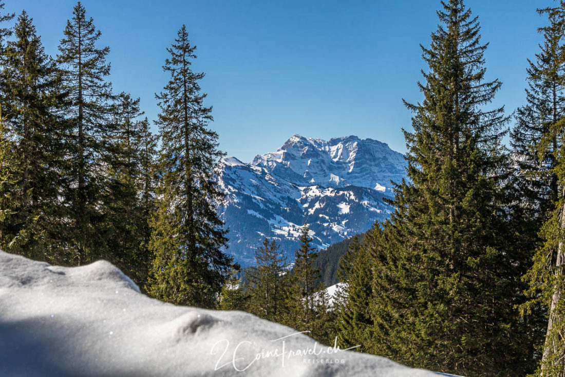 Winterwanderung von Arvenbüel am Walensee zur Vorder Höhi