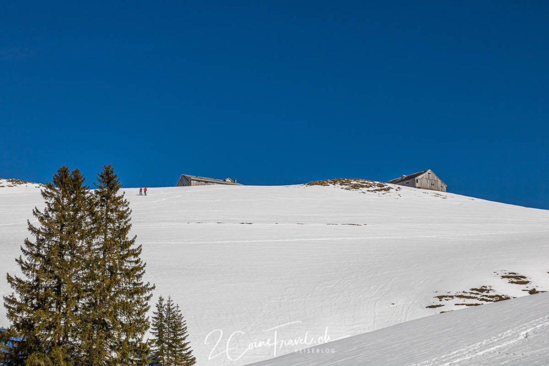 Winterwanderung von Arvenbüel am Walensee zur Vorder Höhi