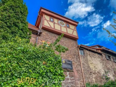 Ausflug auf die Burgfeste Dilsberg im Odenwald