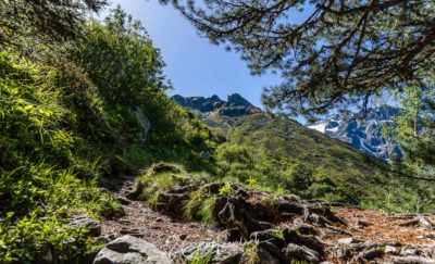 Wanderung zur Silvrettahütte und dem Gletscherlehrpfad Silvretta