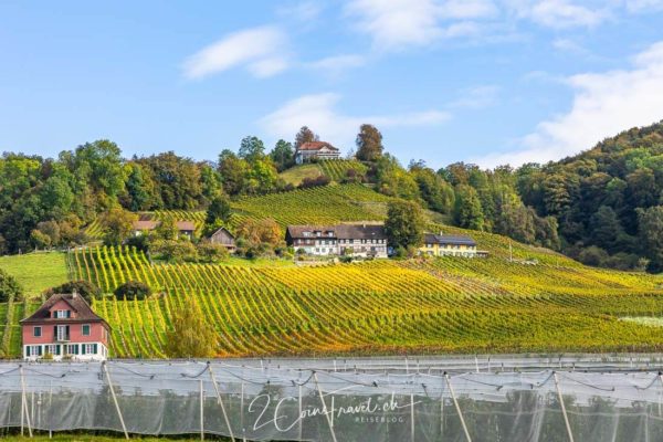 Weinweg Weinfelden Genusswanderung im Thurgau