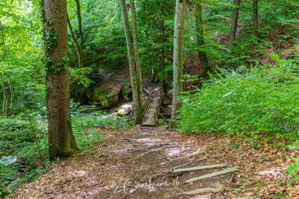 Wanderung auf dem Schluchtenweg Sevelen im Rheintal