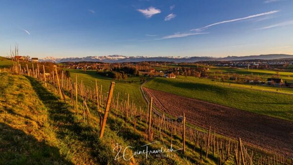 Entdeckungstour durch die Drumlinlandschaft im Zürcher Oberland